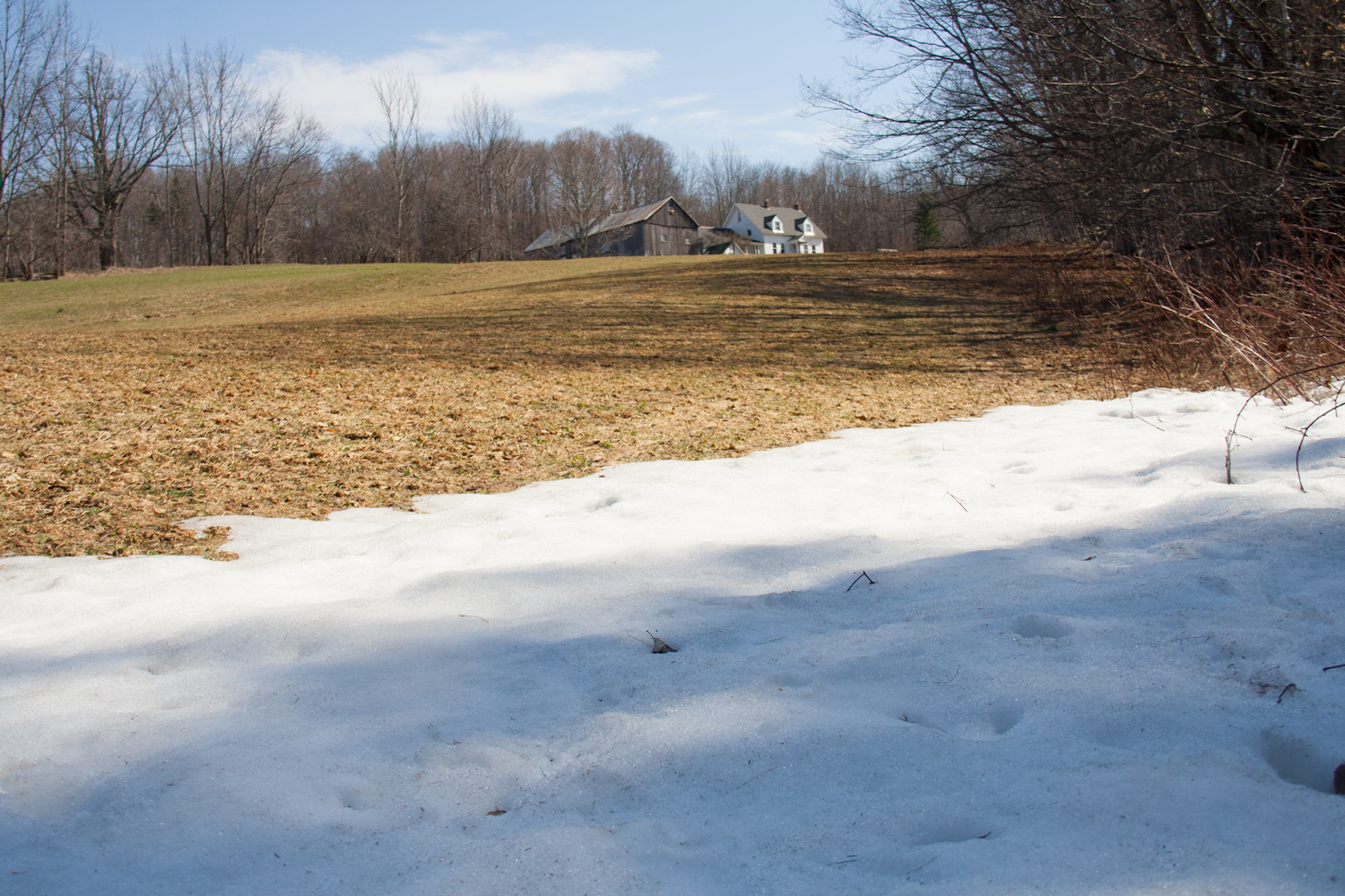 Vermont Grand View Farm - Living with Gotlands