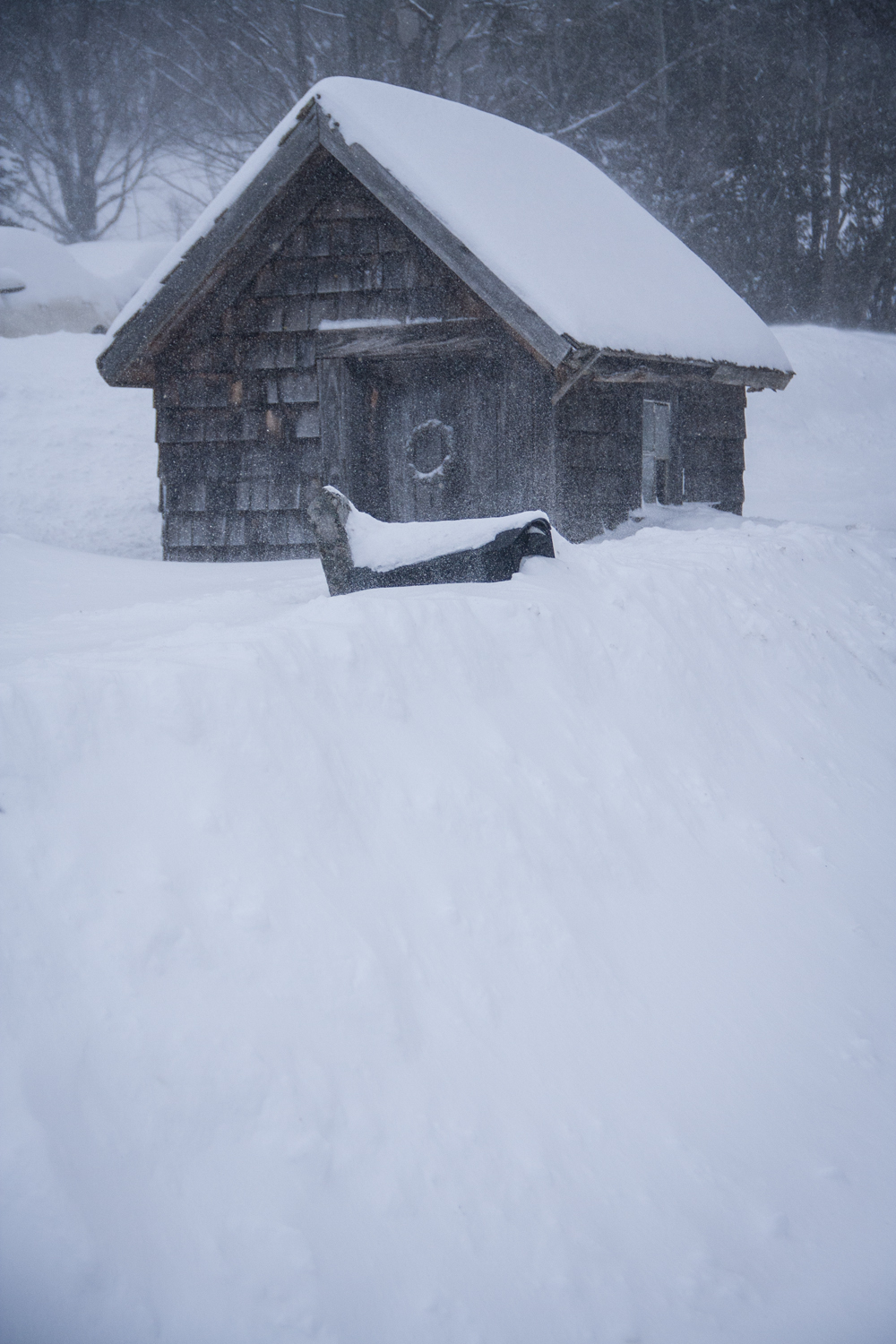 Vermont Grand View Farm - Living with Gotlands