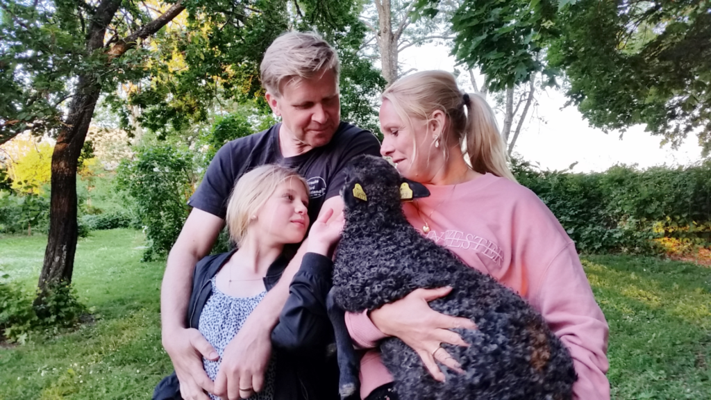 Why You MUST Visit Gotland, Sweden - Living with Gotlands